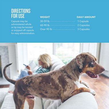 Free Form Snip Tips Med/Lg Dogs - 250 ct | On Sale | EntirelyPets Rx