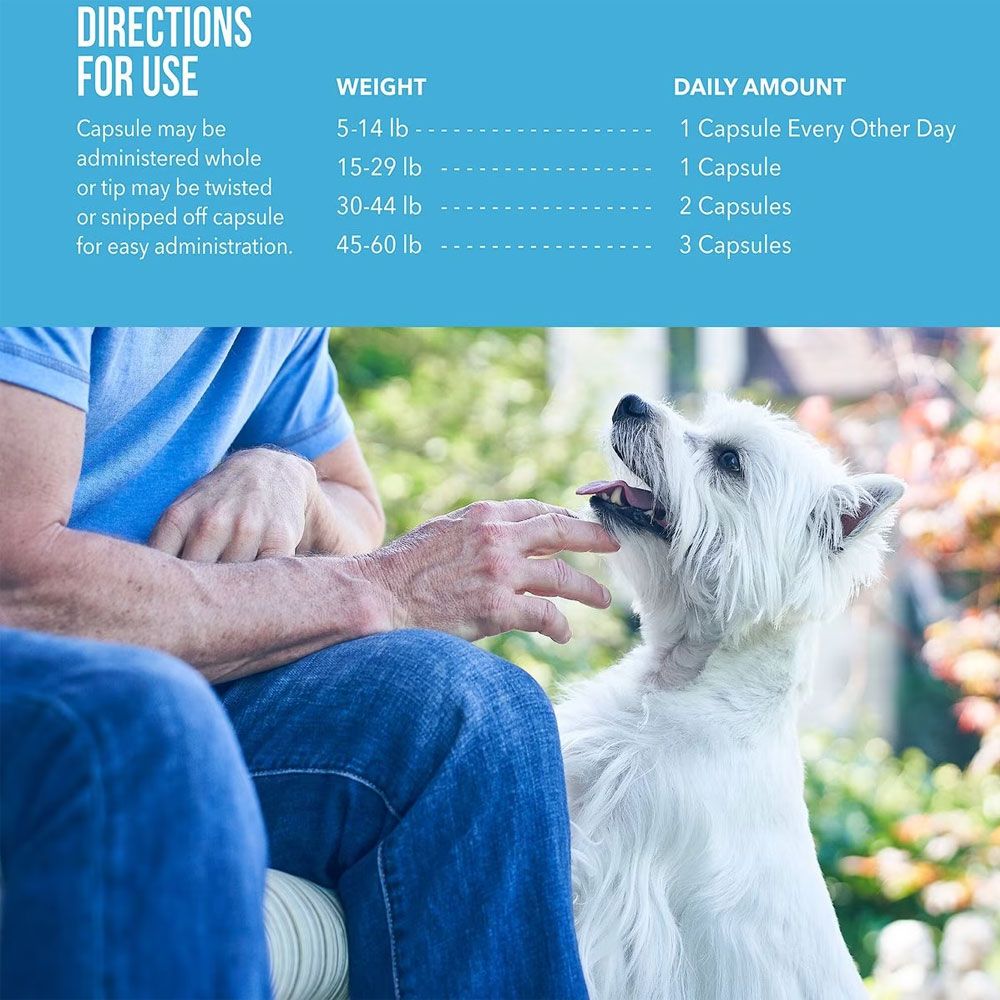 Free Form Snip Tips Sm Dog/Cat - 60ct | On Sale | EntirelyPets Rx