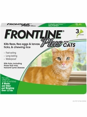 Parasite Prevention Guide | Entirelypets Rx