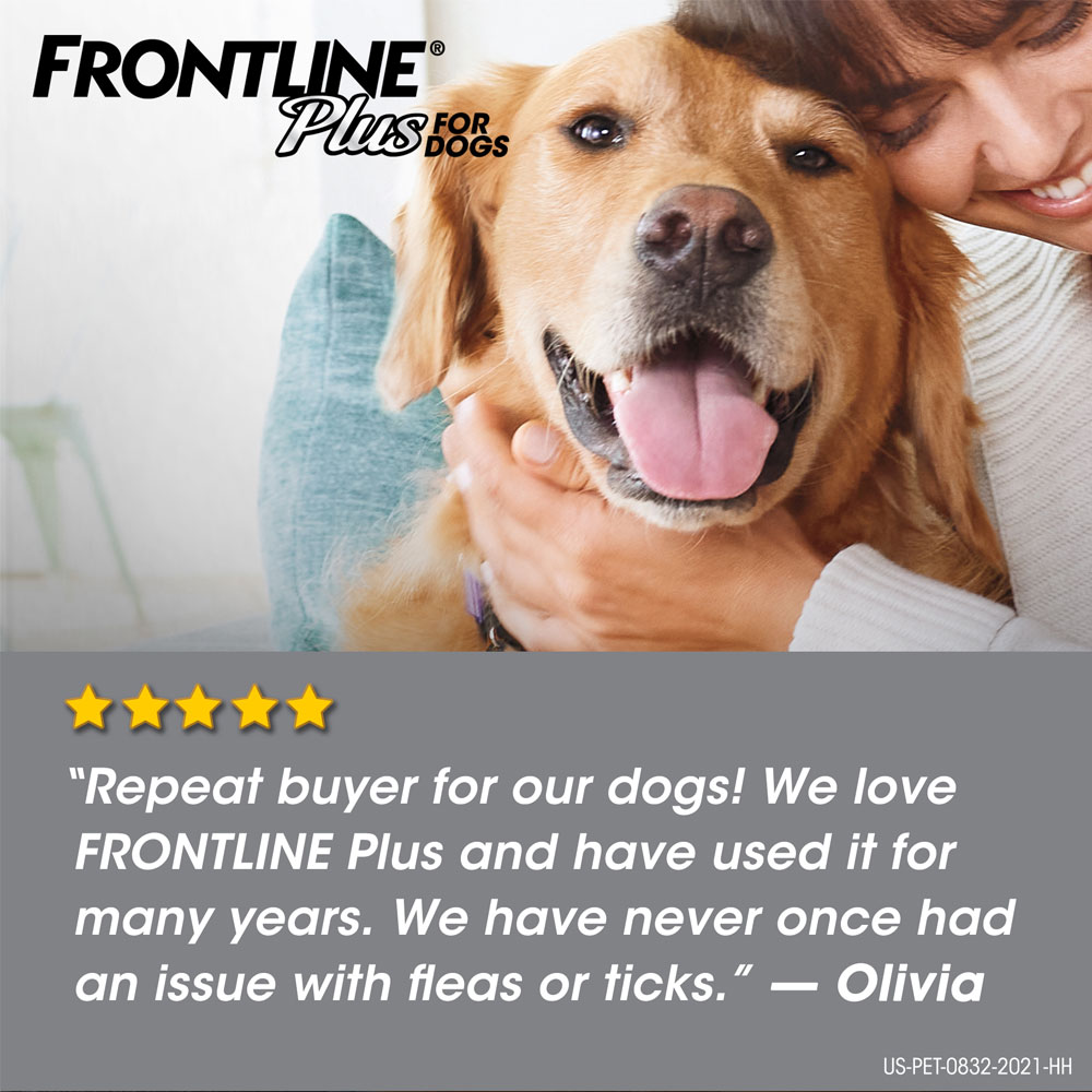 Save On Frontline Plus for Dogs 45-88 lbs (3 Month) | Free Shipping ...