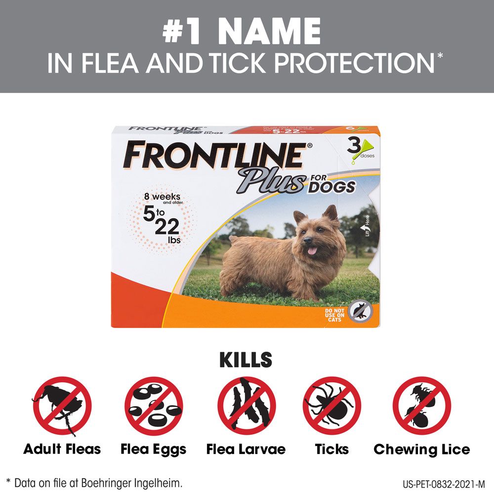 Frontline Plus for Dogs 5-22 lbs (3 Month) | EP Rx