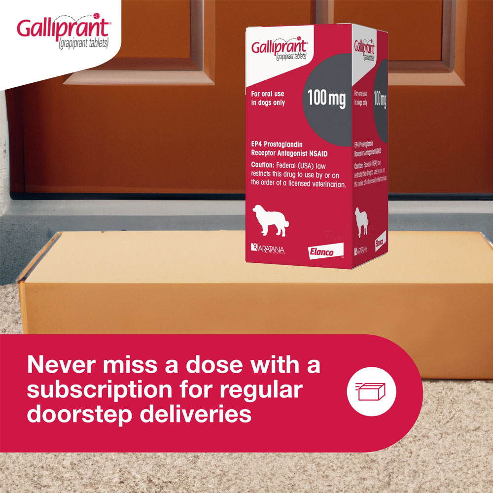 Galliprant Tablets for Dogs 100 mg (1 Count) | On Sale | EP Rx