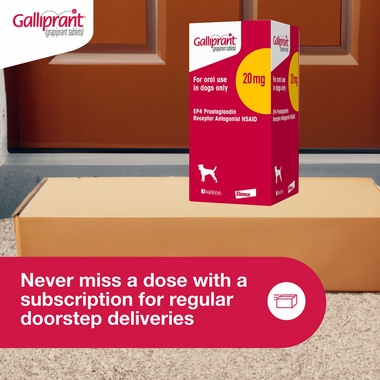 Galliprant Tablets for Dogs 20 mg (1 Count) | On Sale | EP Rx