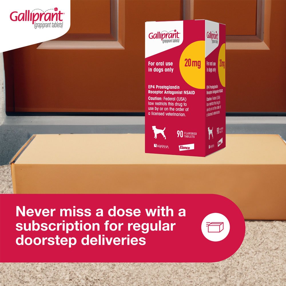 Galliprant Tablets for Dogs 20 mg (90 Count) | On Sale | EP Rx