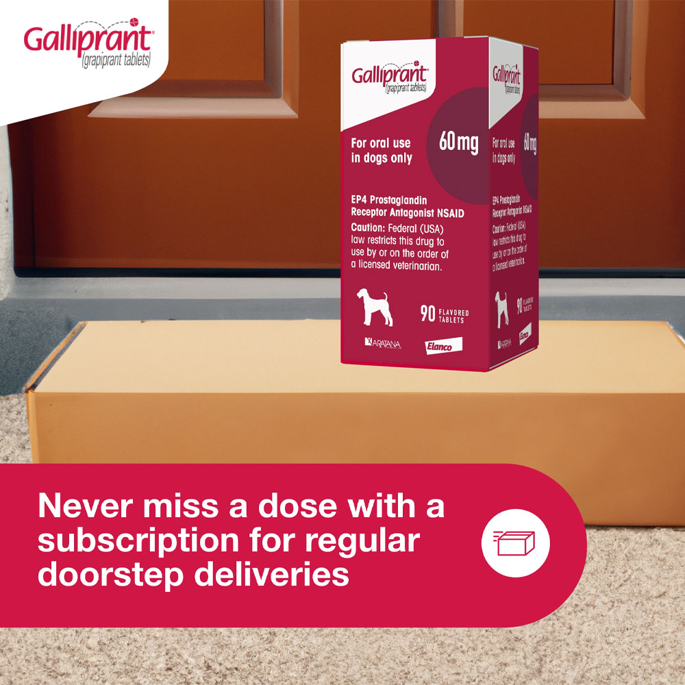 Galliprant Tablets for Dogs 60 mg (90 Count) | On Sale | EP Rx