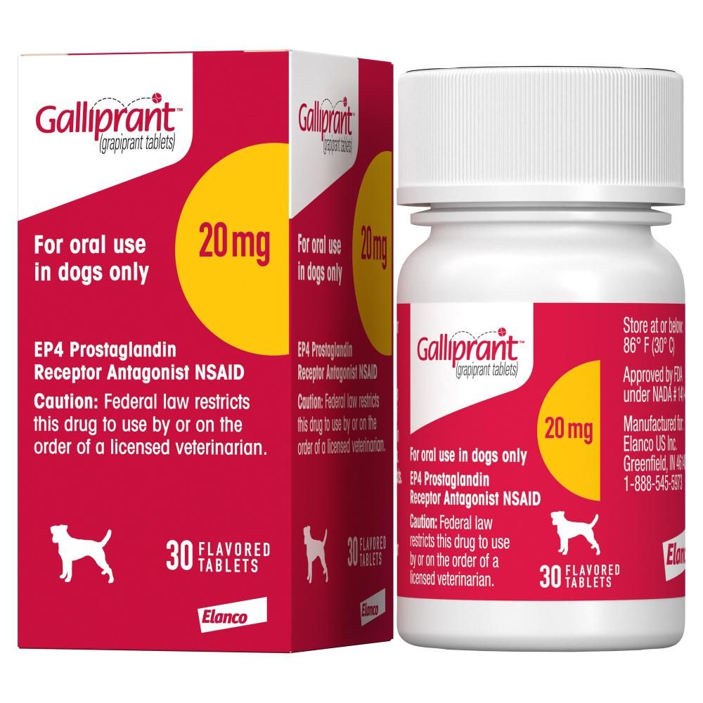 Galliprant Tablets for Dogs 20 mg (30 Count) | On Sale | EP Rx