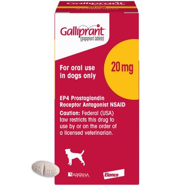 Galliprant Tablets for Dogs 20 mg (1 Count) | On Sale | EP Rx