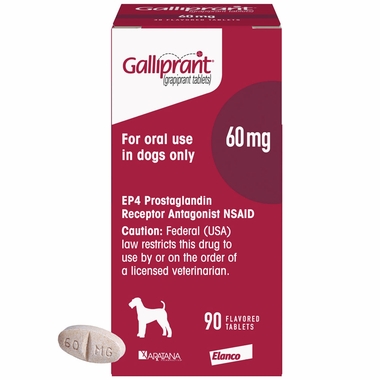 Galliprant Tablets for Dogs 60 mg (90 Count) | On Sale | EP Rx