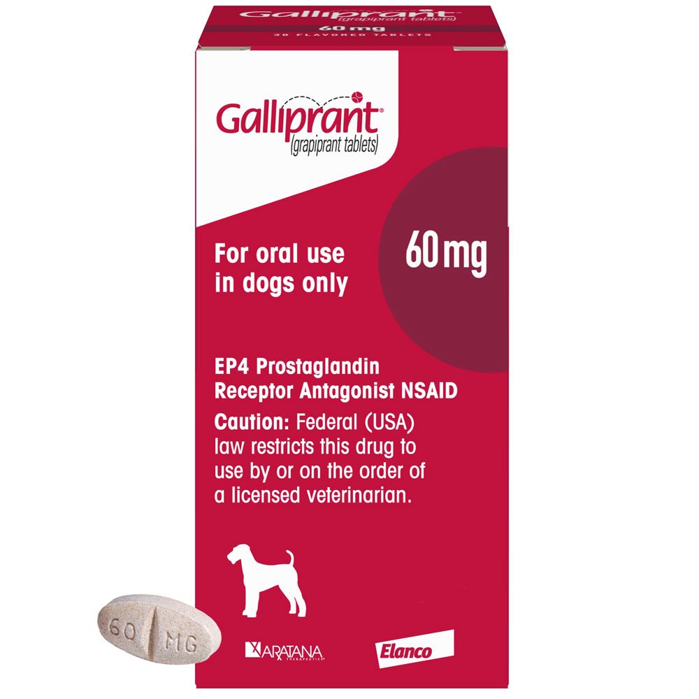 Galliprant Tablets for Dogs 60 mg (1 Count) | On Sale | EP Rx