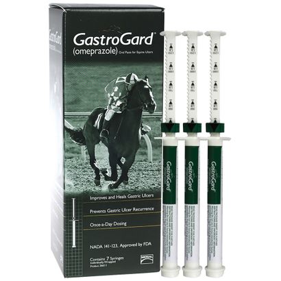 Gastrogard Oral Paste (3-Pack) | Free Shipping | EP Rx