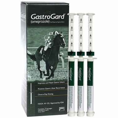 Gastrogard Oral Paste (3-Pack) | Free Shipping | EP Rx