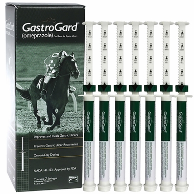 Gastrogard Oral Paste (7-Pack) | Free Shipping | EP Rx