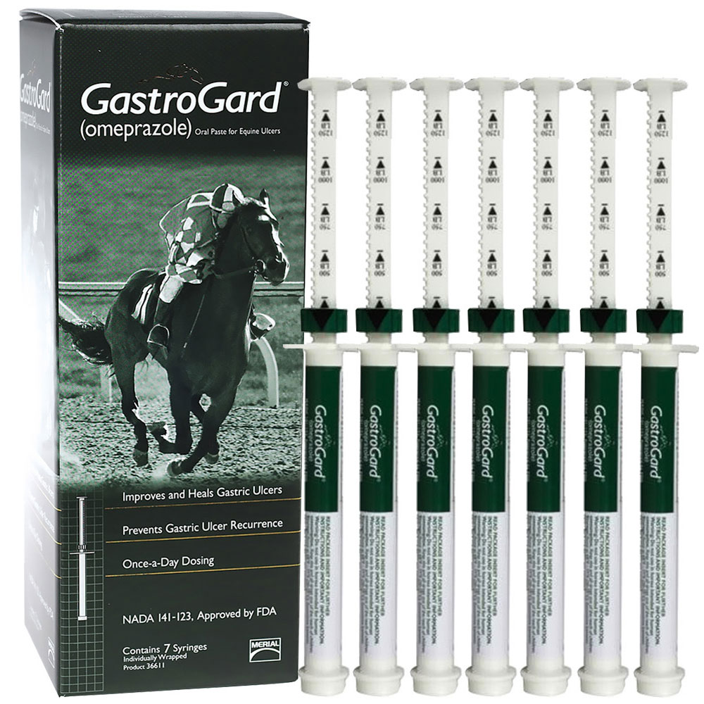 Gastrogard Oral Paste (7-Pack) | Free Shipping | EP Rx