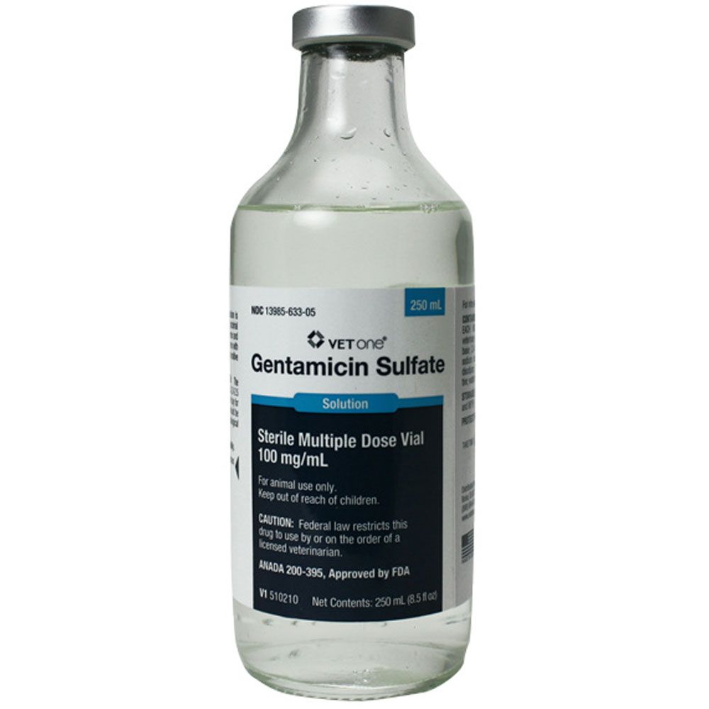 Gentamicin Sulfate Inj 100mg/ml - 250ml | On Sale | EntirelyPets Rx