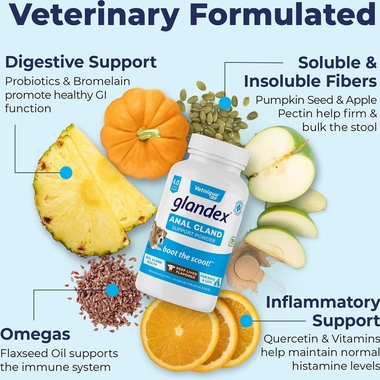 Glandex Anal Gland Support Powder for Dogs and Cats, Beef Flavor, 4oz ...