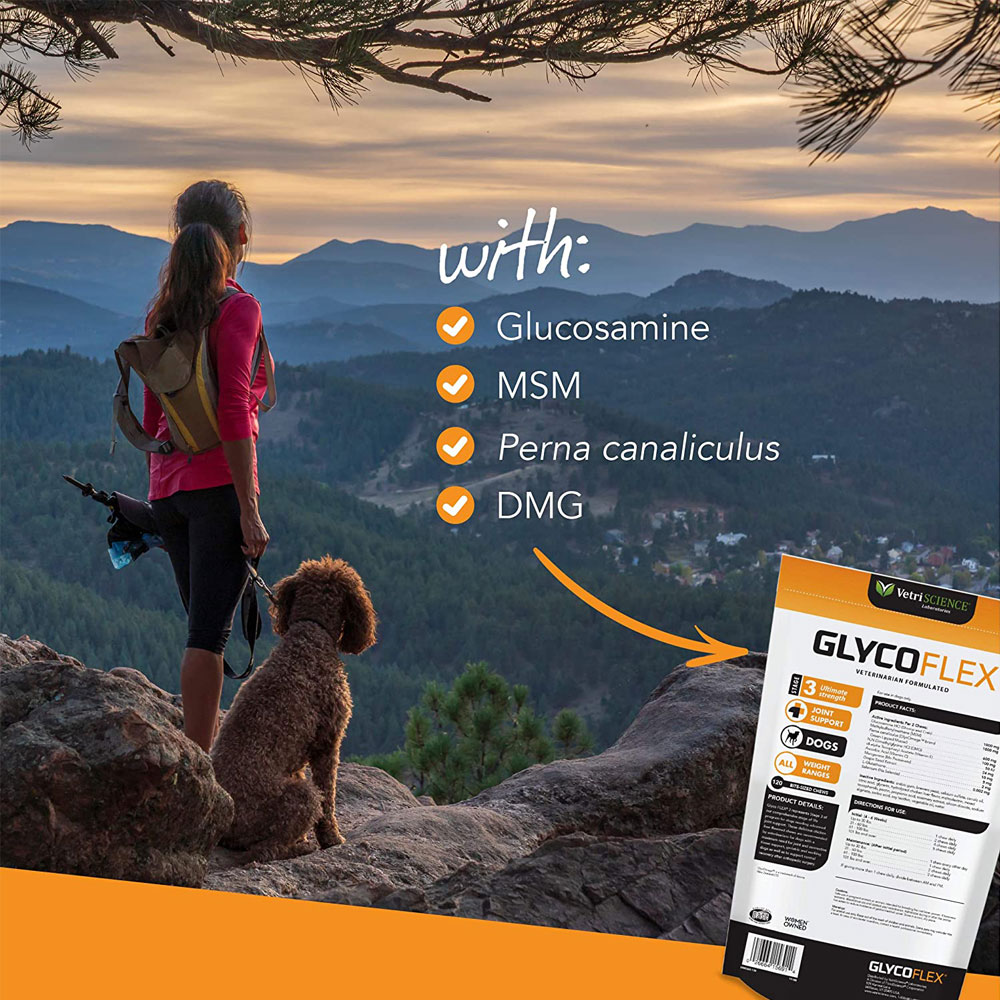GlycoFlex 3 for Dogs (120 Soft Chews) | On Sale | EntirelyPets Rx