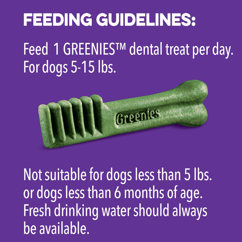 Greenies ScaryBerry Blueberry Flavor Halloween Dental Chew Dog Treat ...