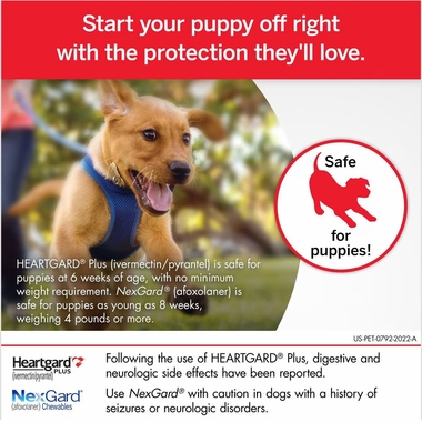 Heartgard Plus Green for Dogs 26-50 lbs (12 Chews) | EP Rx