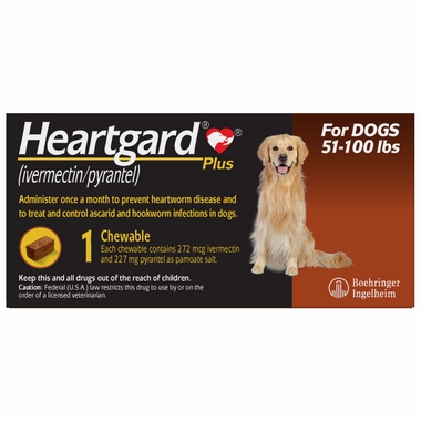 What Is The Cheapest Heartworm Medicine For Dogs