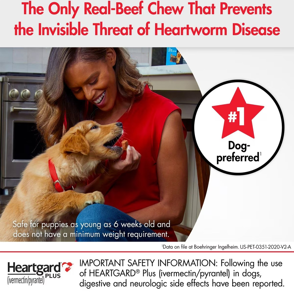 Heartgard Plus Brown for Dogs 51-100 lbs (12 Chews) | Free Shipping ...
