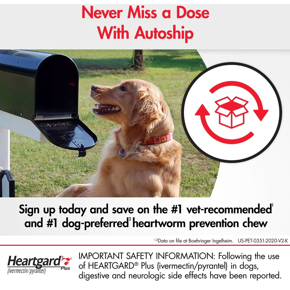 Heartgard Plus Blue for Dogs Up to 25 lbs (6 Chews) | Free Shipping*