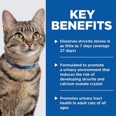 Hill's Prescription Diet c/d Multicare Urinary Care Ocean Fish Dry Cat ...