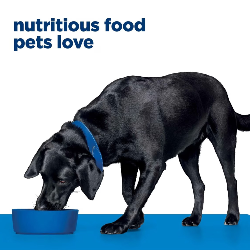 Hill's Prescription Diet d/d Skin Food Sensitivities Potato & Salmon ...