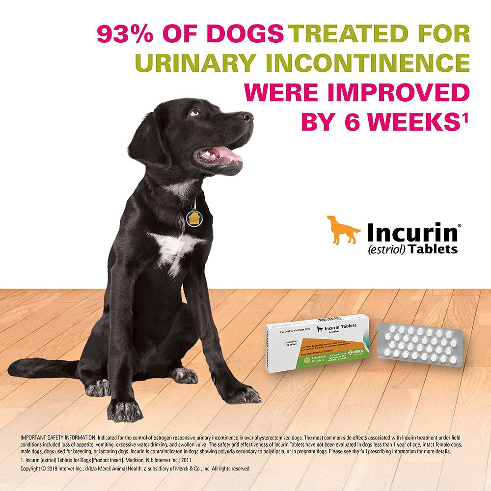 Incurin Tablets 1 mg, 30 Ct. | Free Shipping | EntirelyPets Rx