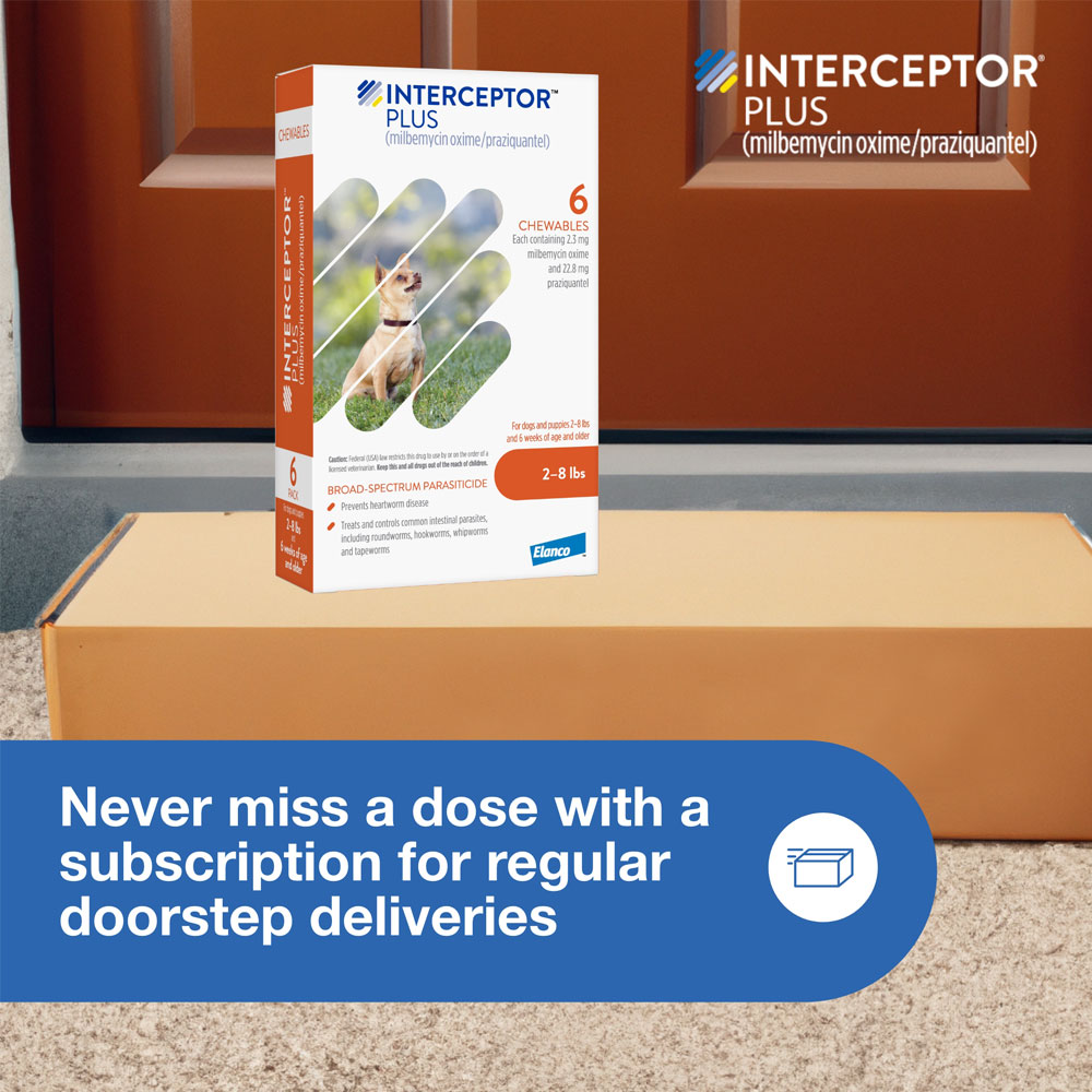 Interceptor Plus for Dogs 2-8 lbs Orange (6 Chews) | On Sale | EP Rx