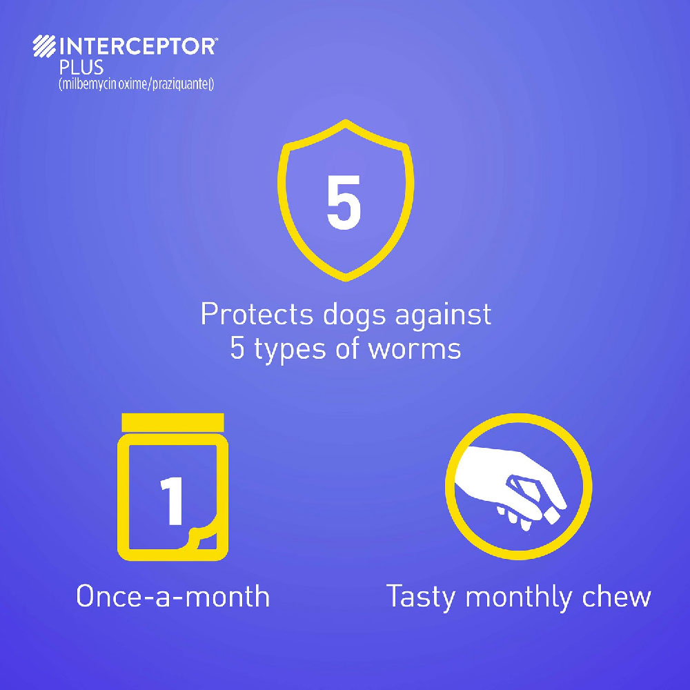 Interceptor Plus for Dogs 8.1-25 lbs Green, 1 Chew | EntirelyPets Rx