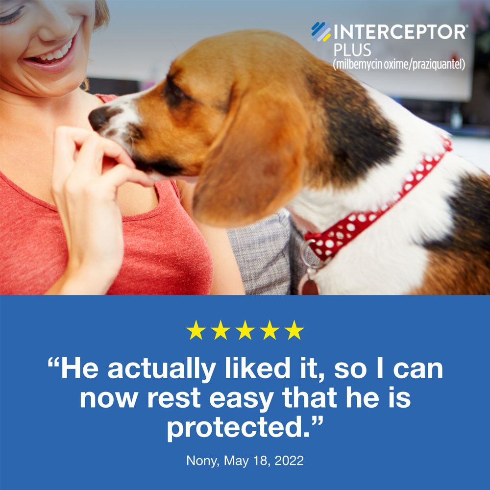 Interceptor Plus Green, 12 Chews | On Sale | EntirelyPets Rx