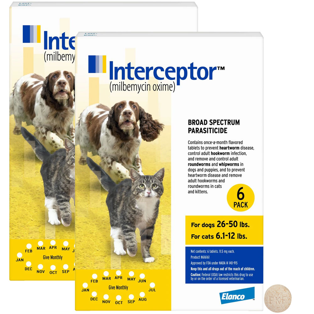 Interceptor for Dogs 26-50 lbs. | Cats 6.1-12 lbs. | Prevention for ...
