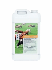 VetOne Intersect | On Sale | EntirelyPets Rx