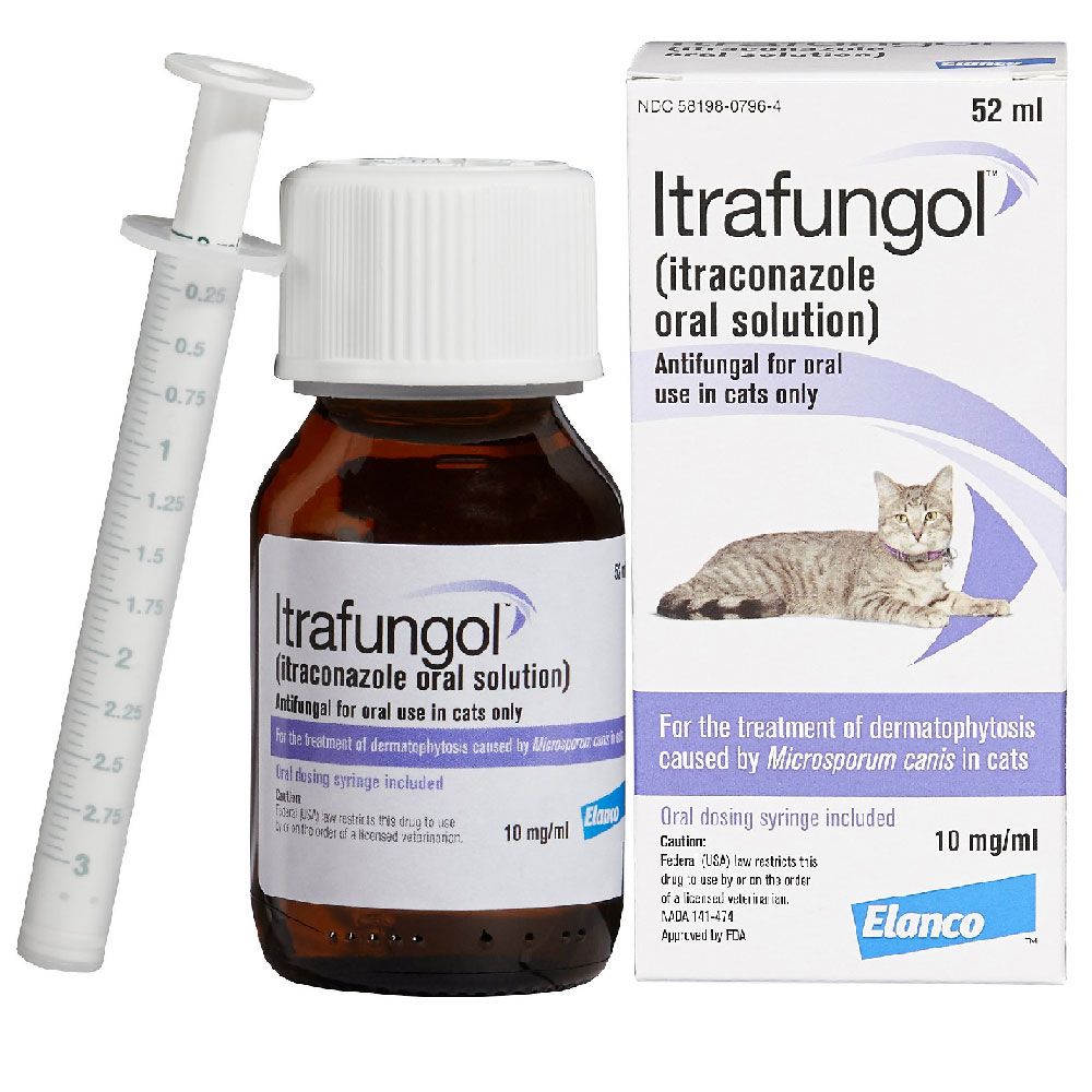 Itrafungol Oral Solution for Cats (52 ml) | Free Shipping* | EP Rx