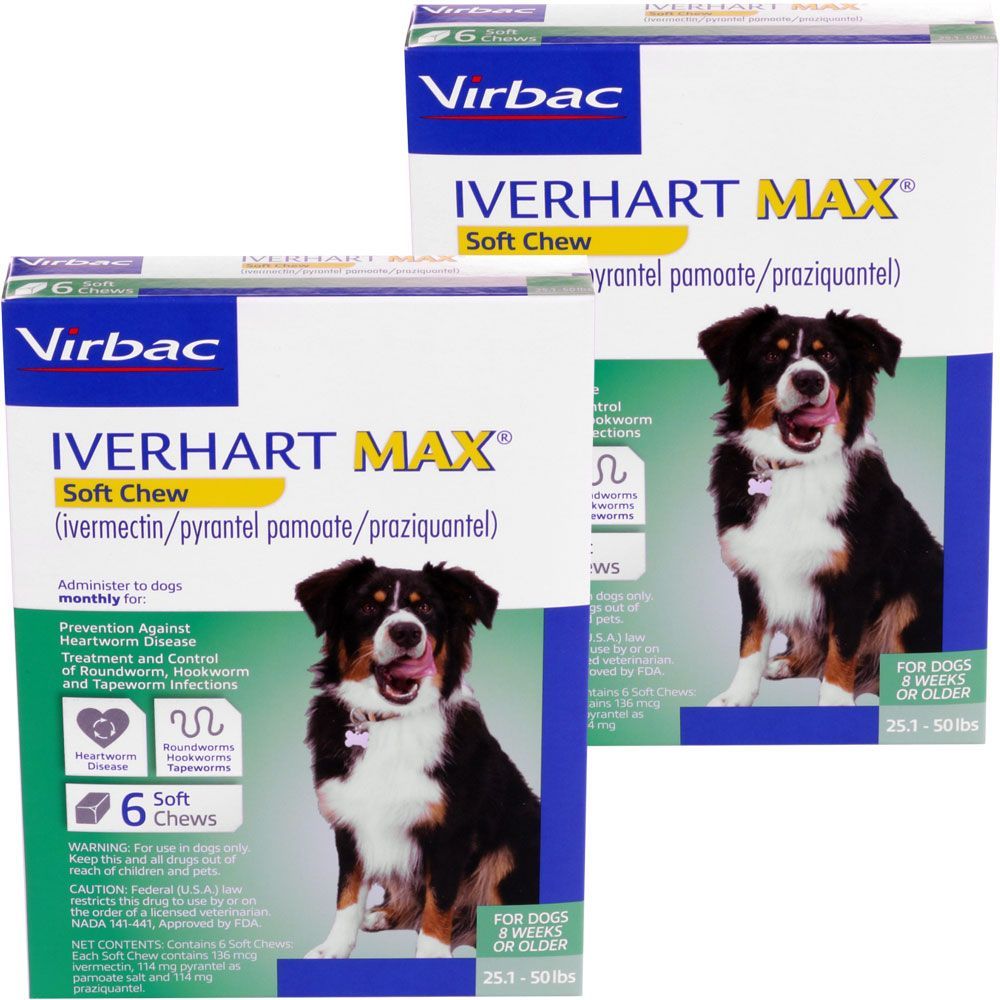 Iverhart Max for Dogs, 25.1-50 lbs (12 Ct.) | Free Shipping ...