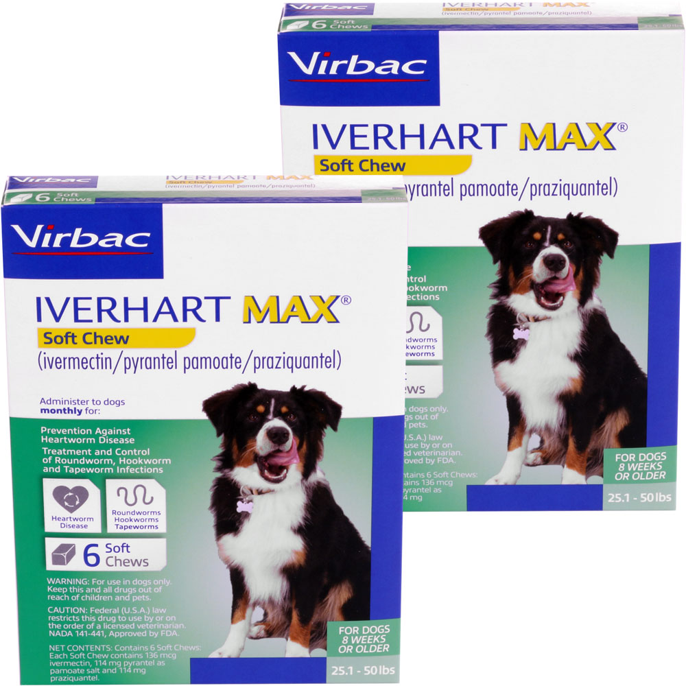 Iverhart Max for Dogs, 25.1-50 lbs (12 Ct.) | Free Shipping ...