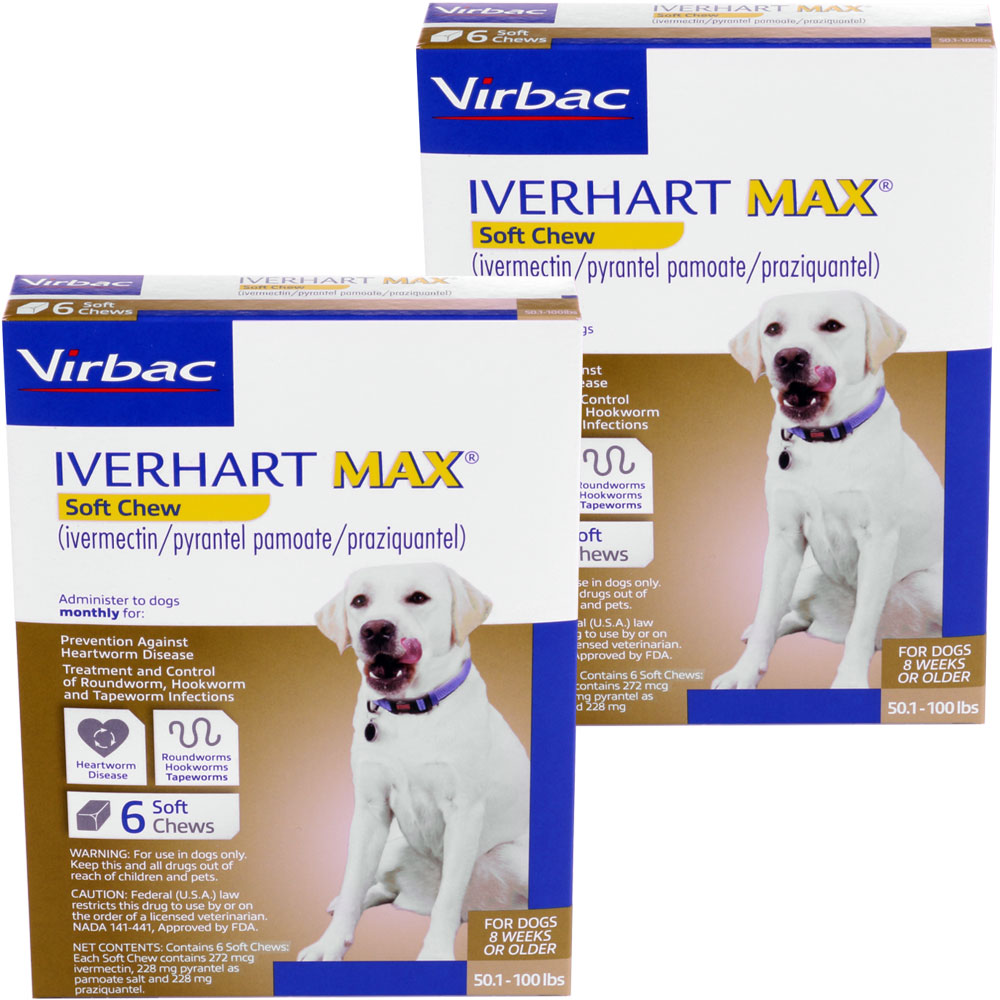 Iverhart Max for Dogs, 50.1-100 lbs (12 Ct.) | Free Shipping ...