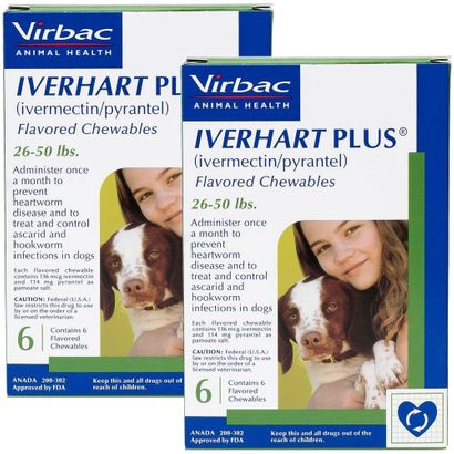 Iverhart Plus for Dogs 26-50 lbs (12 Chew Tabs) | On Sale | EntirelyPets Rx