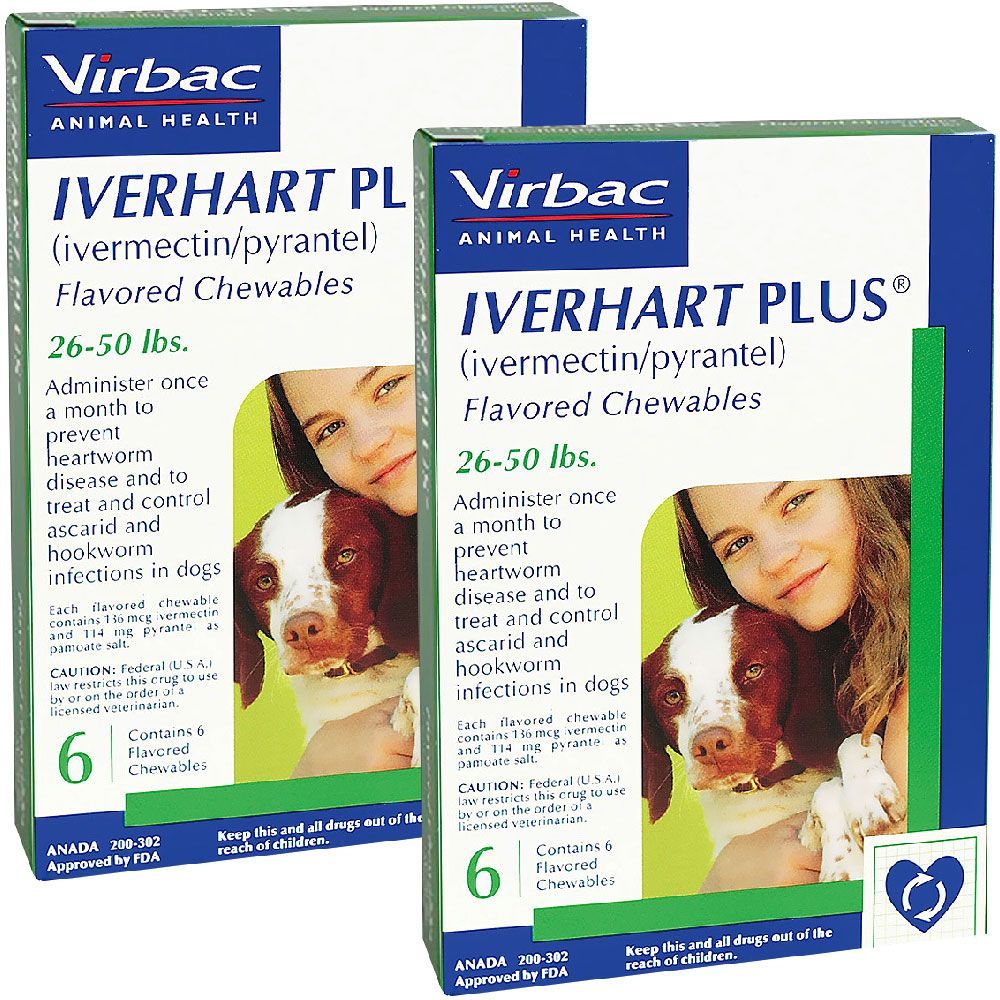 Iverhart Plus for Dogs 26-50 lbs (12 Chew Tabs) | On Sale | EntirelyPets Rx