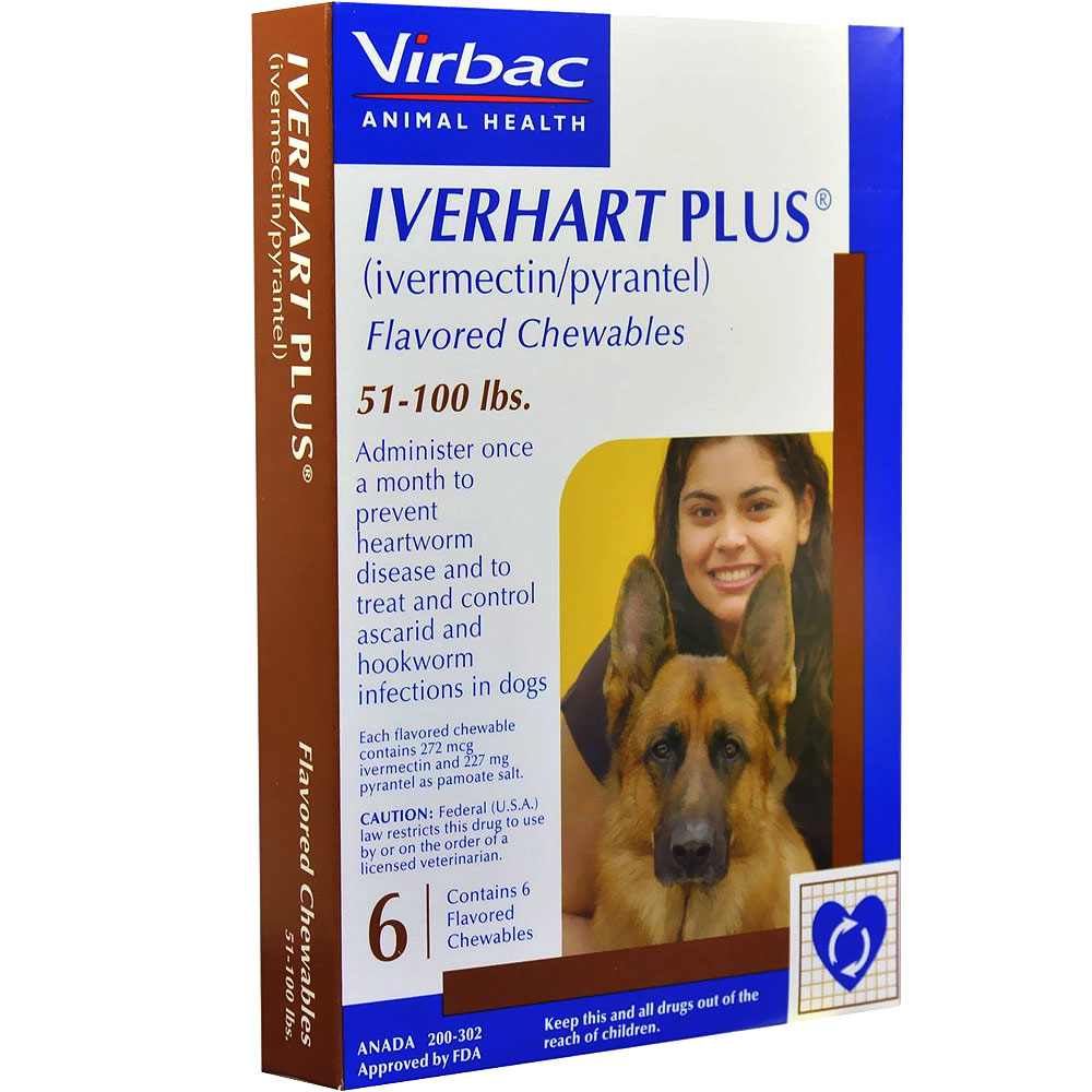 Iverhart Plus Chewable Tablet for Dogs, 51-100 lbs, (Brown Box), 6 ...