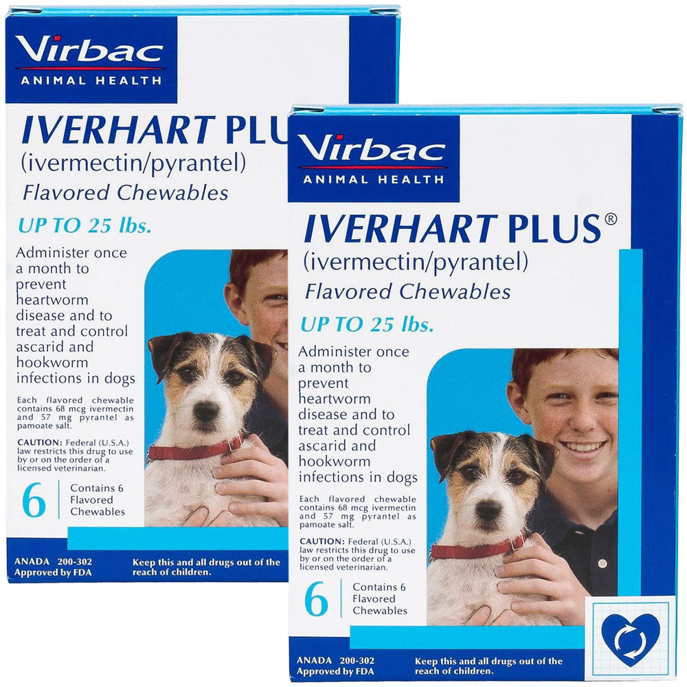 Iverhart Plus for Dogs - 1-25 lbs (Blue), 12 Chewable Tablet (12-mos ...