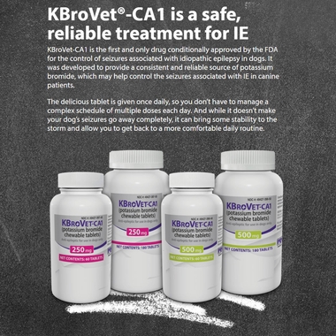 K-BroVet-CA1 500mg (60 chewable tablets) | On Sale | EntirelyPets Rx