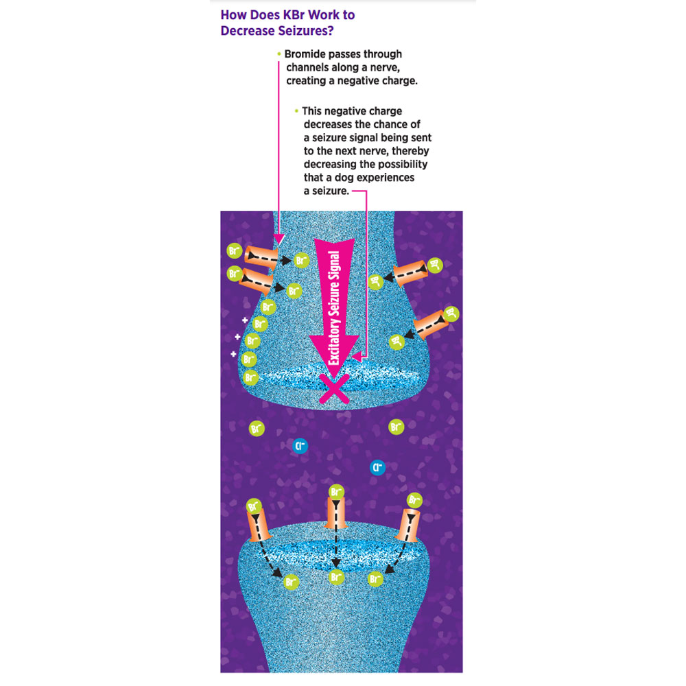 K-BroVet-CA1 for Dogs - 500mg (60 chewable tablets) - [Epilepsy Support ...
