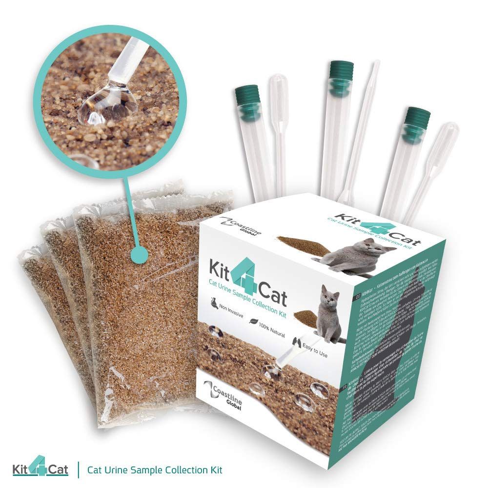 Kit4Cat Cat Urine Sample Collection Sand (3 part box) | On Sale ...