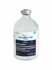 LincoBac 300 (Lincomycin) Injection, Swine Antibiotic | On Sale ...