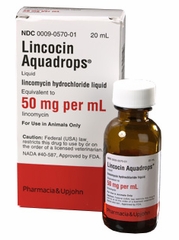 Antibiotic | On Sale | EntirelyPets Rx