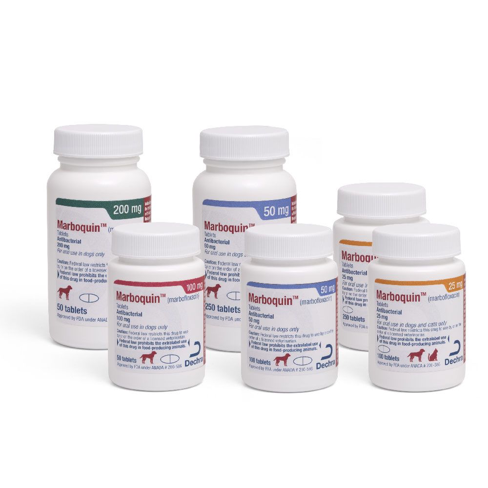 Marboquin (marbofloxacin) Tablets | On Sale | EntirelyPets Rx