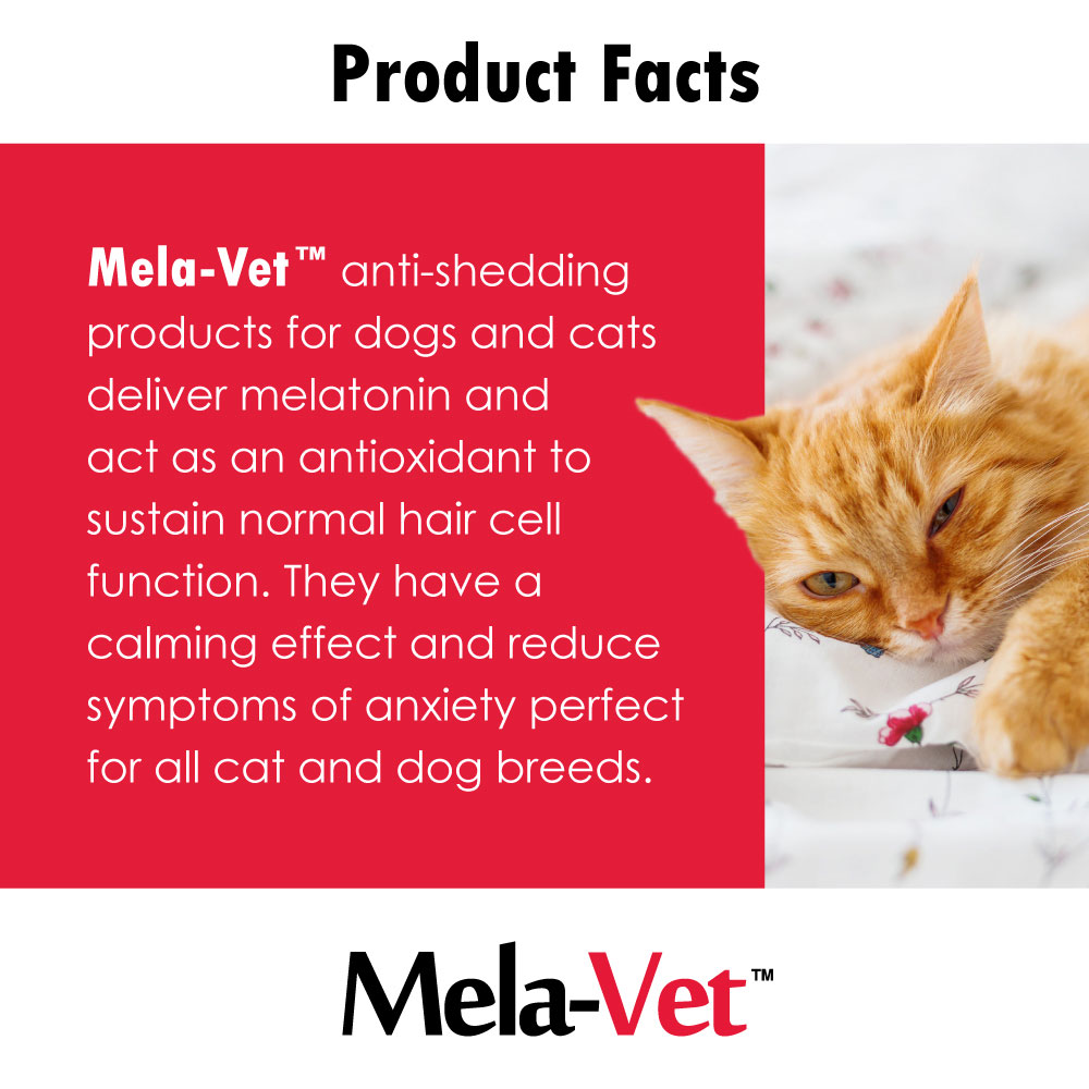 Mela-Vet Melatonin Soft Chews for Dogs & Cats (120 count) | On Sale ...