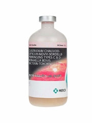 Merck 20/20 Vision 7 with Spur Cattle Vaccine | On Sale | EntirelyPets Rx