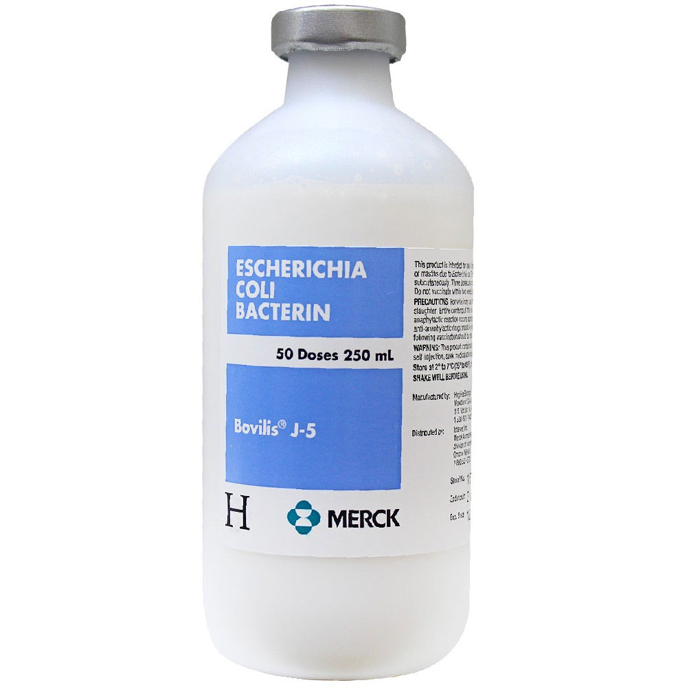 Merck Bovilis J-5 Escherichia Coli Bacterin Cattle Vaccine, 250mL | On ...